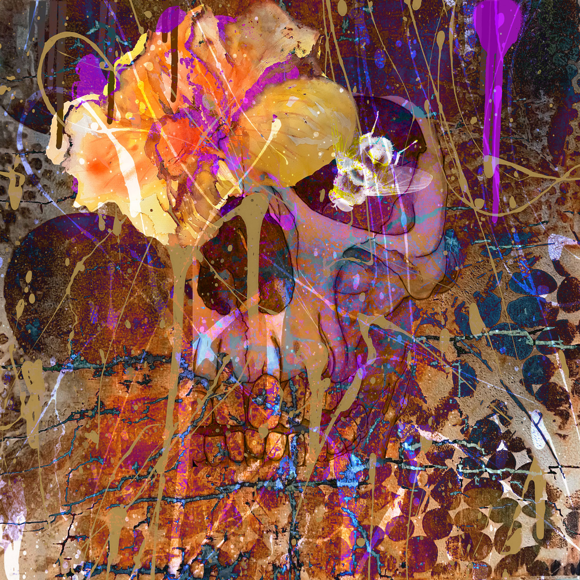 Shop Partners - Lynn Smith